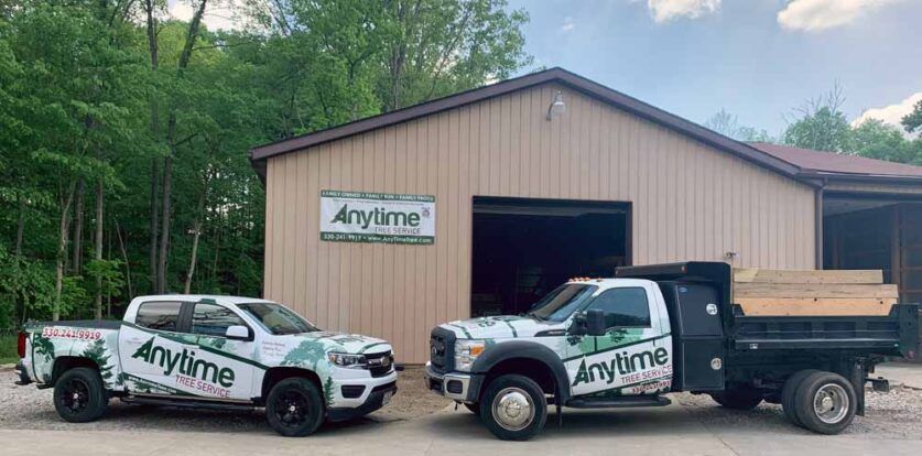 Anytime Tree Service